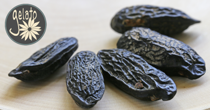 Fava Tonka - Gelato - Spilamberto - Modena